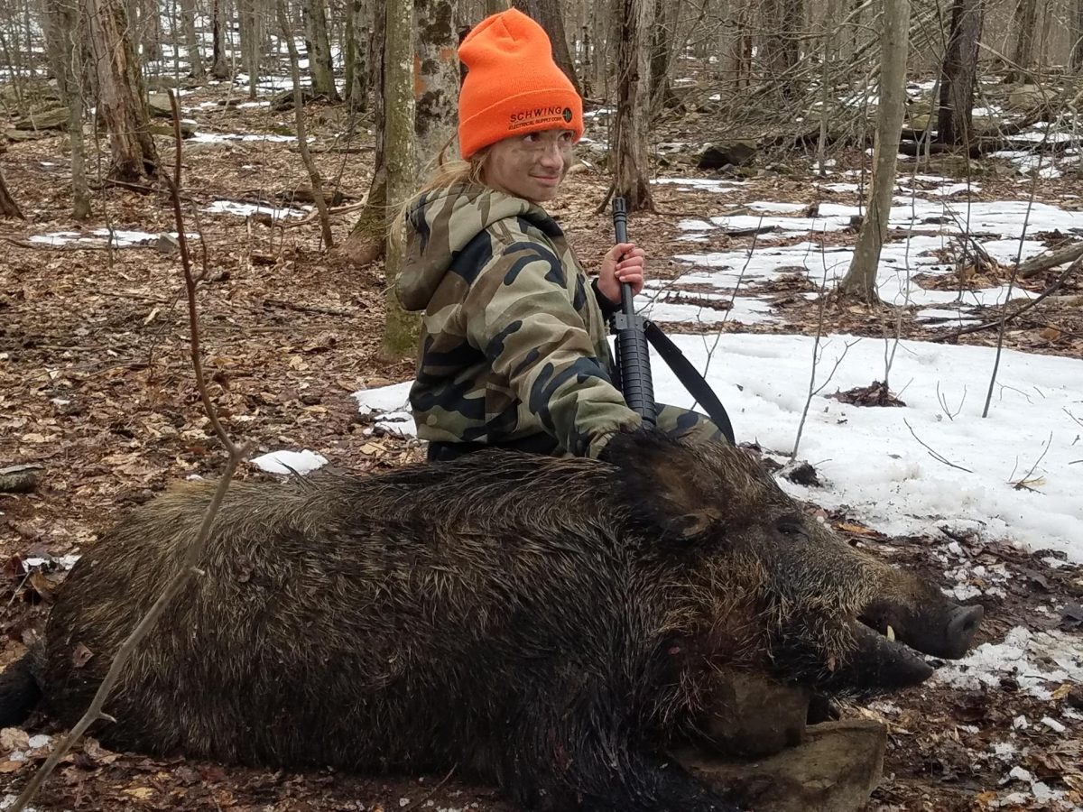 Boar Hunts - Pennsylvania Hunting Ranch