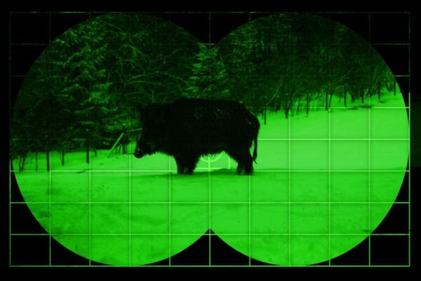Pennsylvania Thermal Hog Hunting - Pennsylvania Hunting Ranch